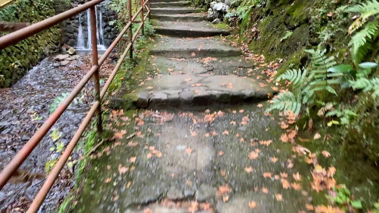 【湯河原エリア】立ち寄りオススメスポット | IRORI FOX Blog