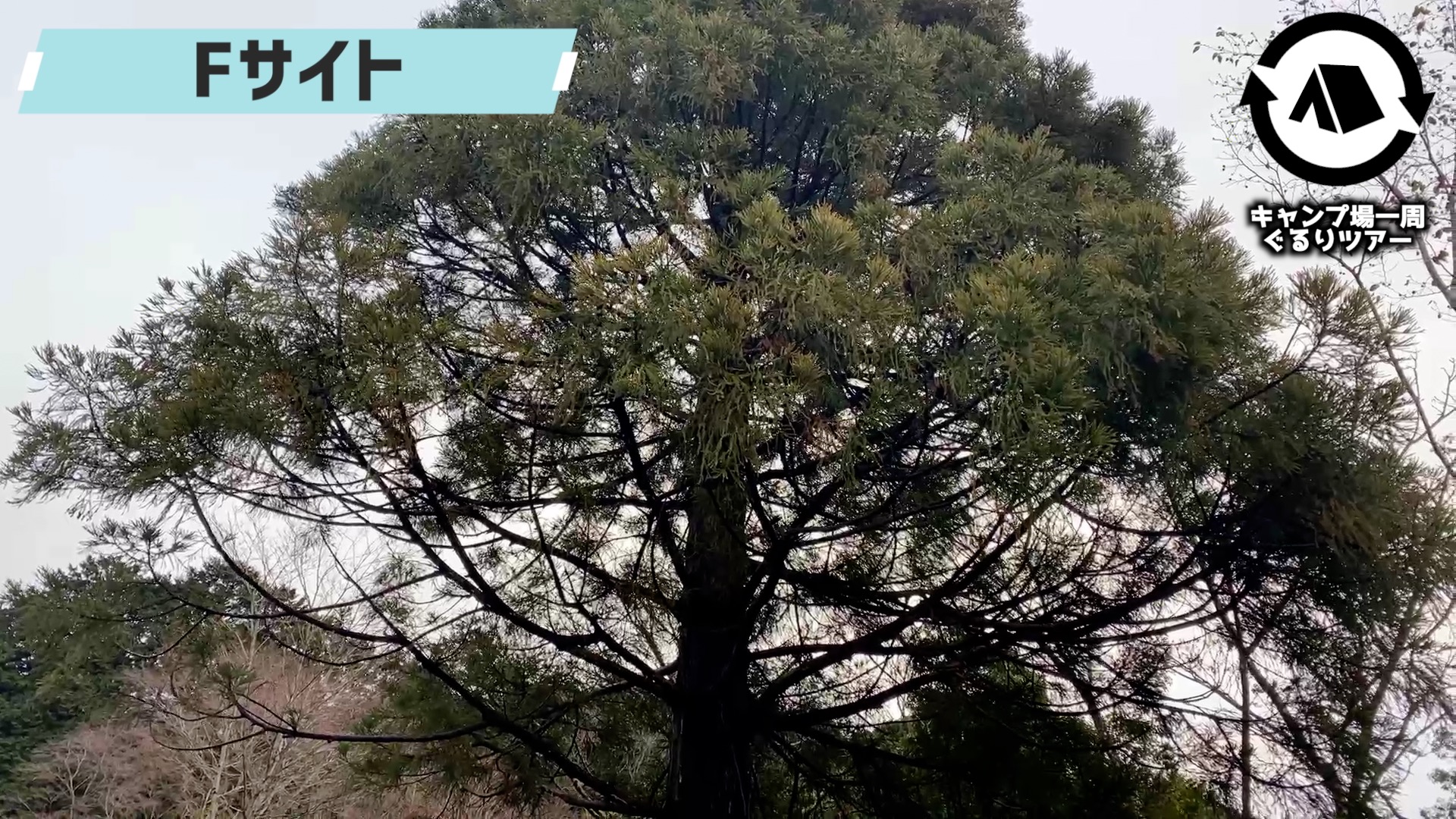 【湯河原温泉神谷キャンプ場(神奈川県)】源泉掛け流しの温泉が24時間楽しめるキャンプ場！ | IRORI FOX Blog